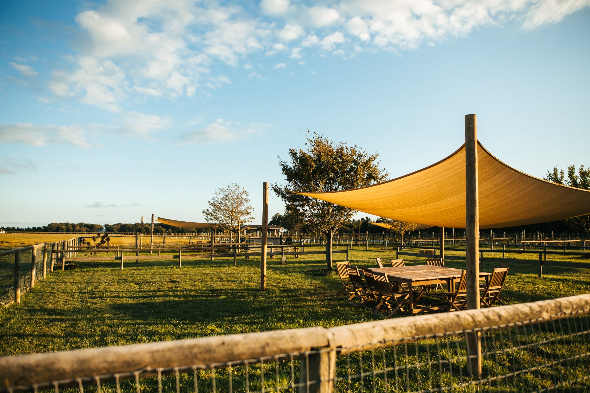 RGNY – Long Island Wine Country