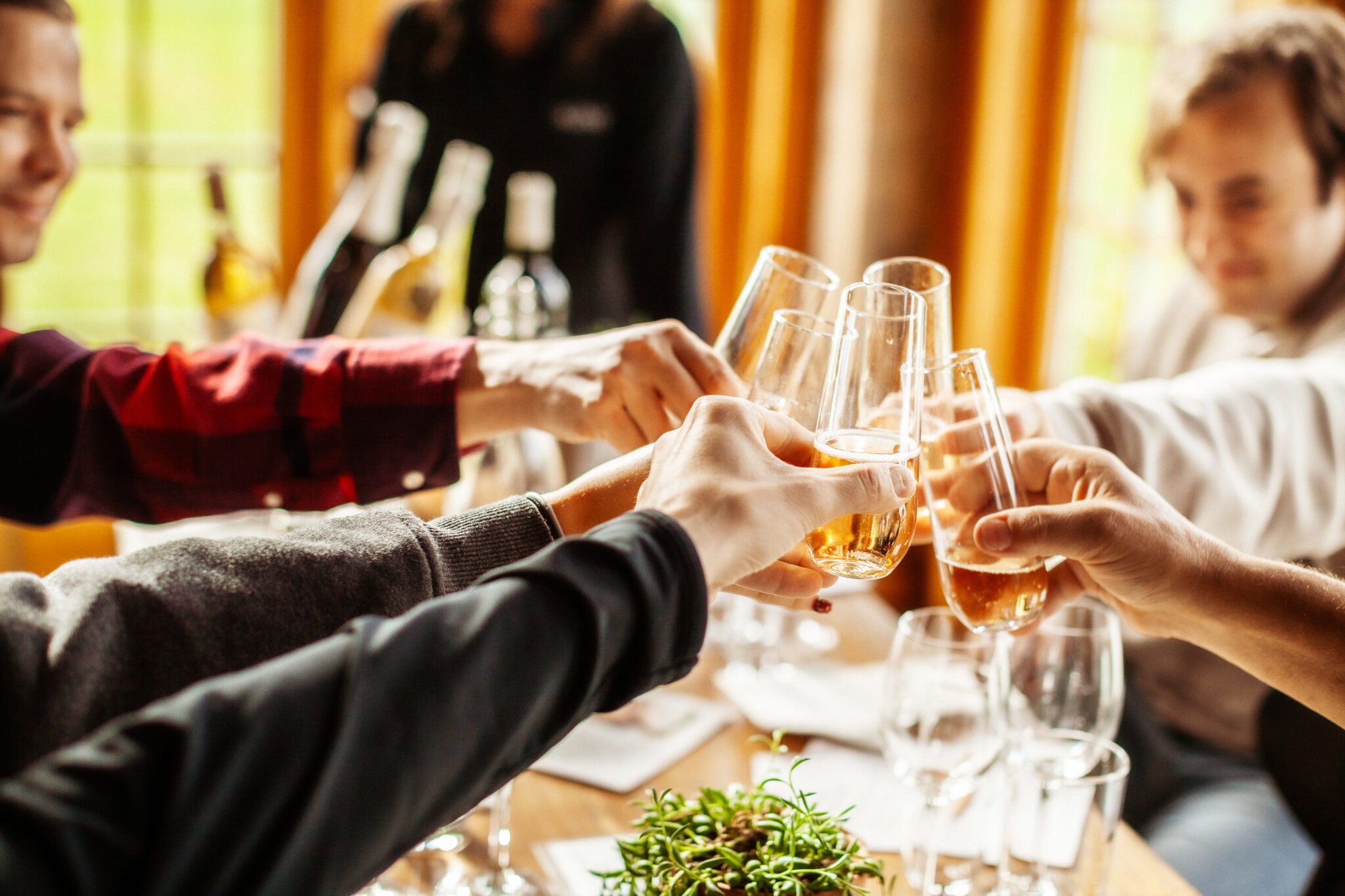 RGNY – Long Island Wine Country